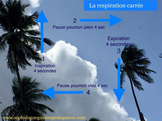 La respiration carrée – Ma fleur de vie-Sophologie, Hypnose-Guyane